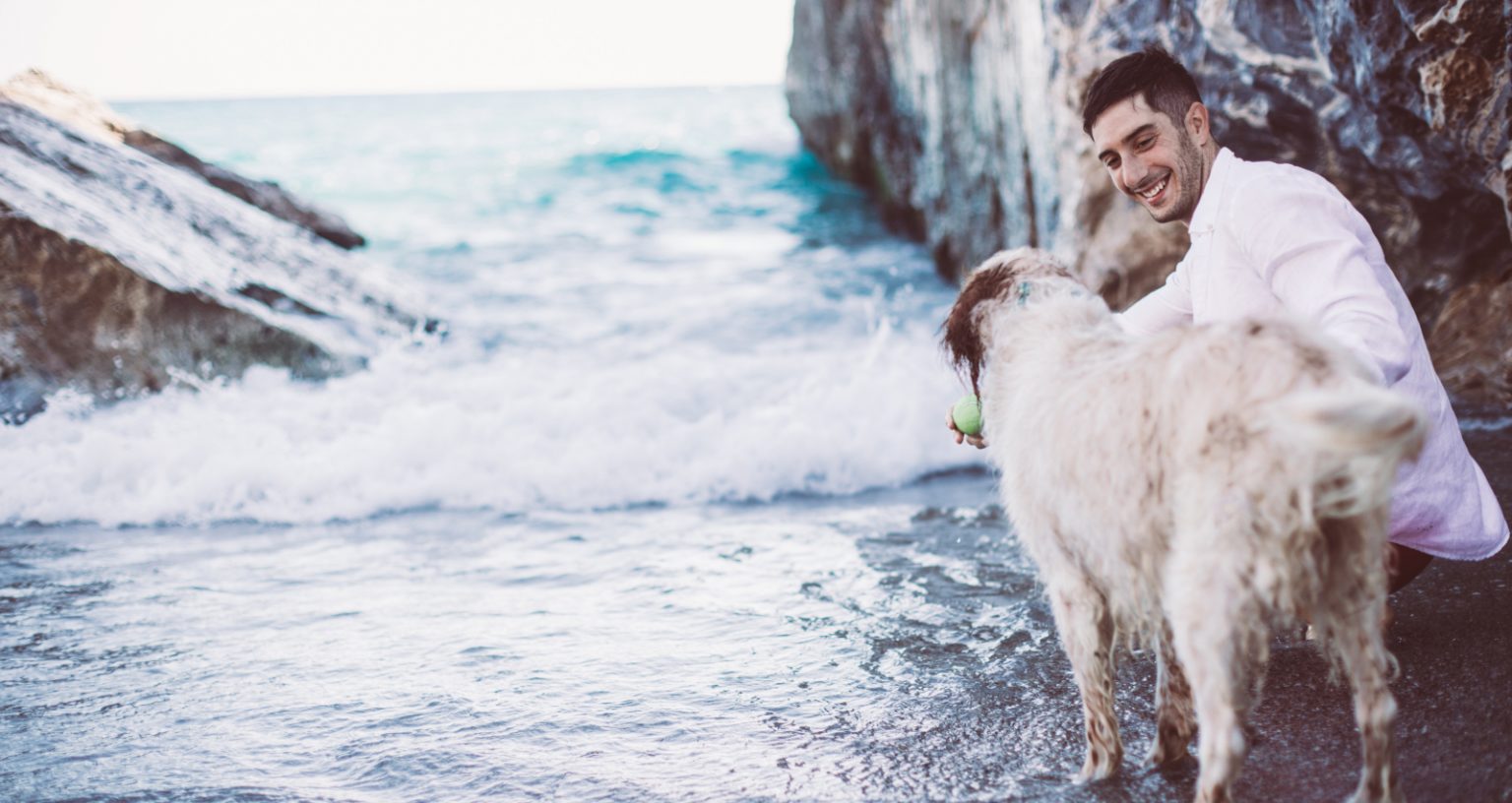 About The Beaches Vet Northern Beaches Sydney